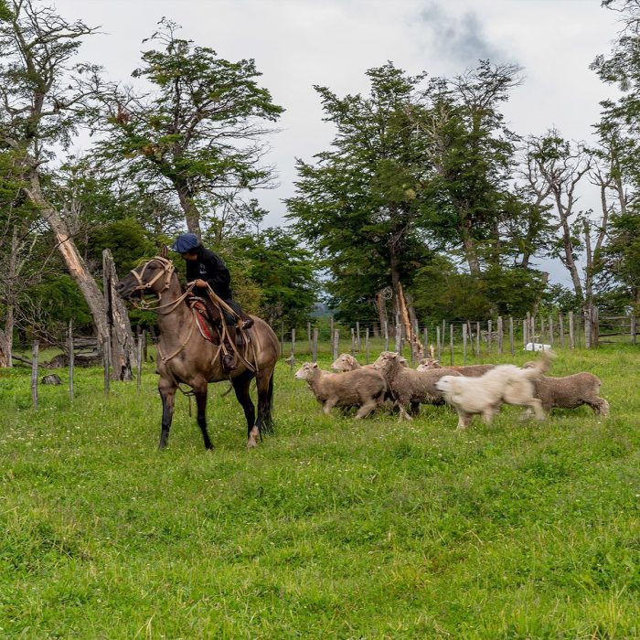 South America Inside: Farm Work in Patagonia, Chile