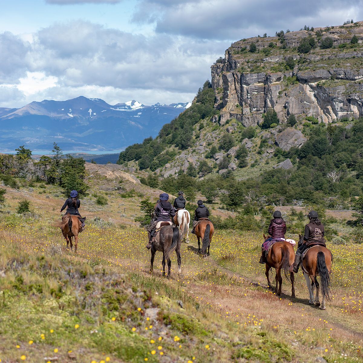 south-america-inside-farm-work-in-patagonia-chile