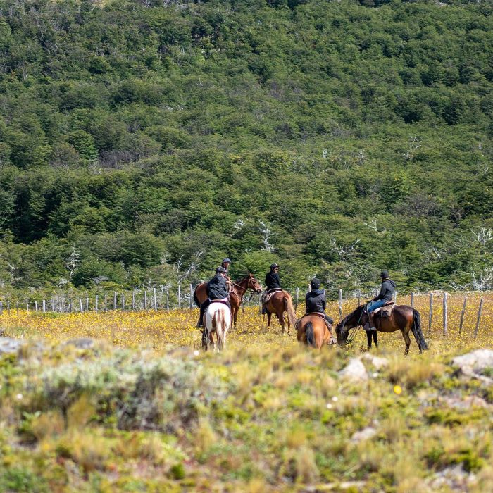 South America Inside: Farm Work in Patagonia, Chile