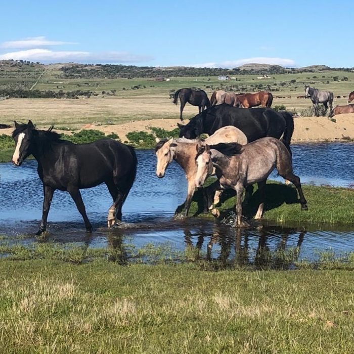 South America Inside: Farm Stay Placements throughout the country