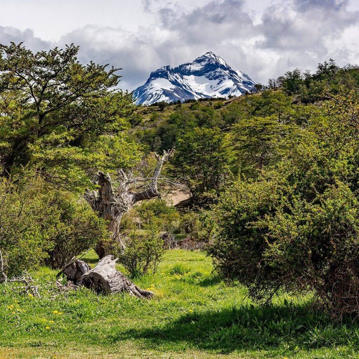 South America Inside: Farm Work in Patagonia, Chile