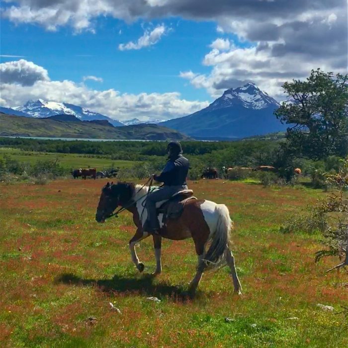 South America Inside: Farm Work in Patagonia, Chile