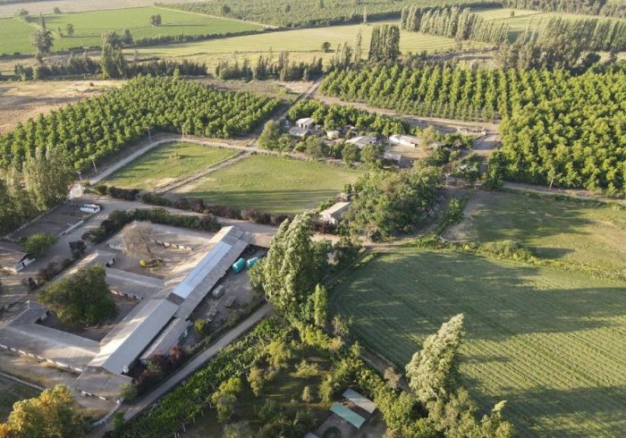 South America Inside: Volunteering on a Farm in Chile