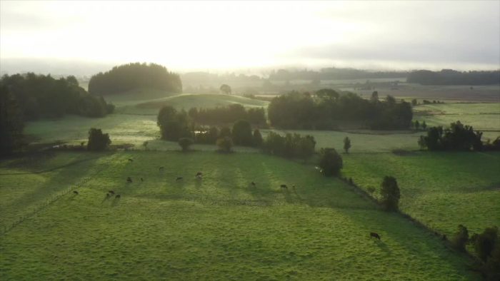 South America Inside: Volunteering on a farm in Southern Chile