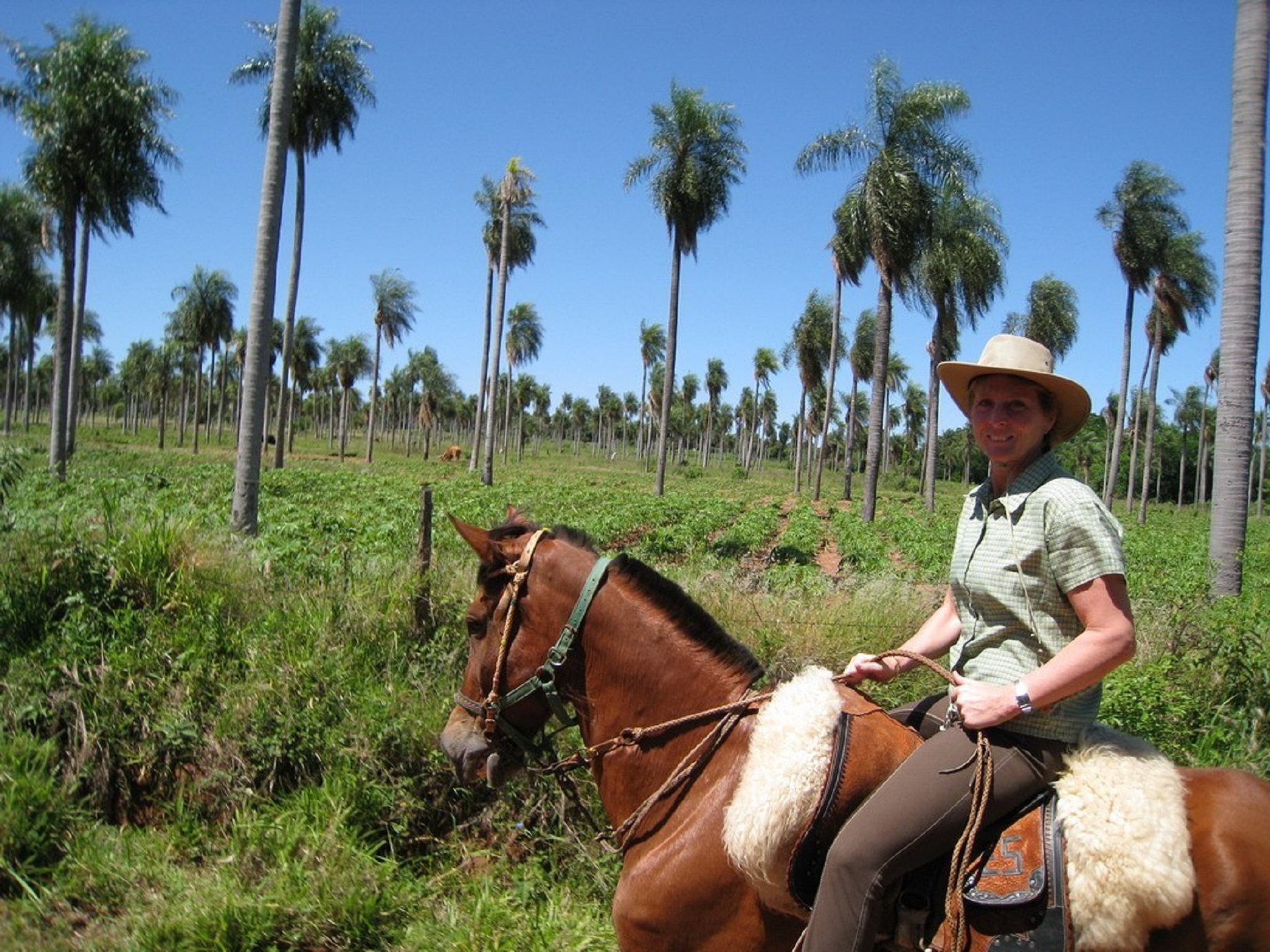 Farm Stay mit Pferden in Paraguay - South America Inside